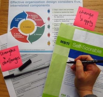 Organizational Development | Triangle Associates